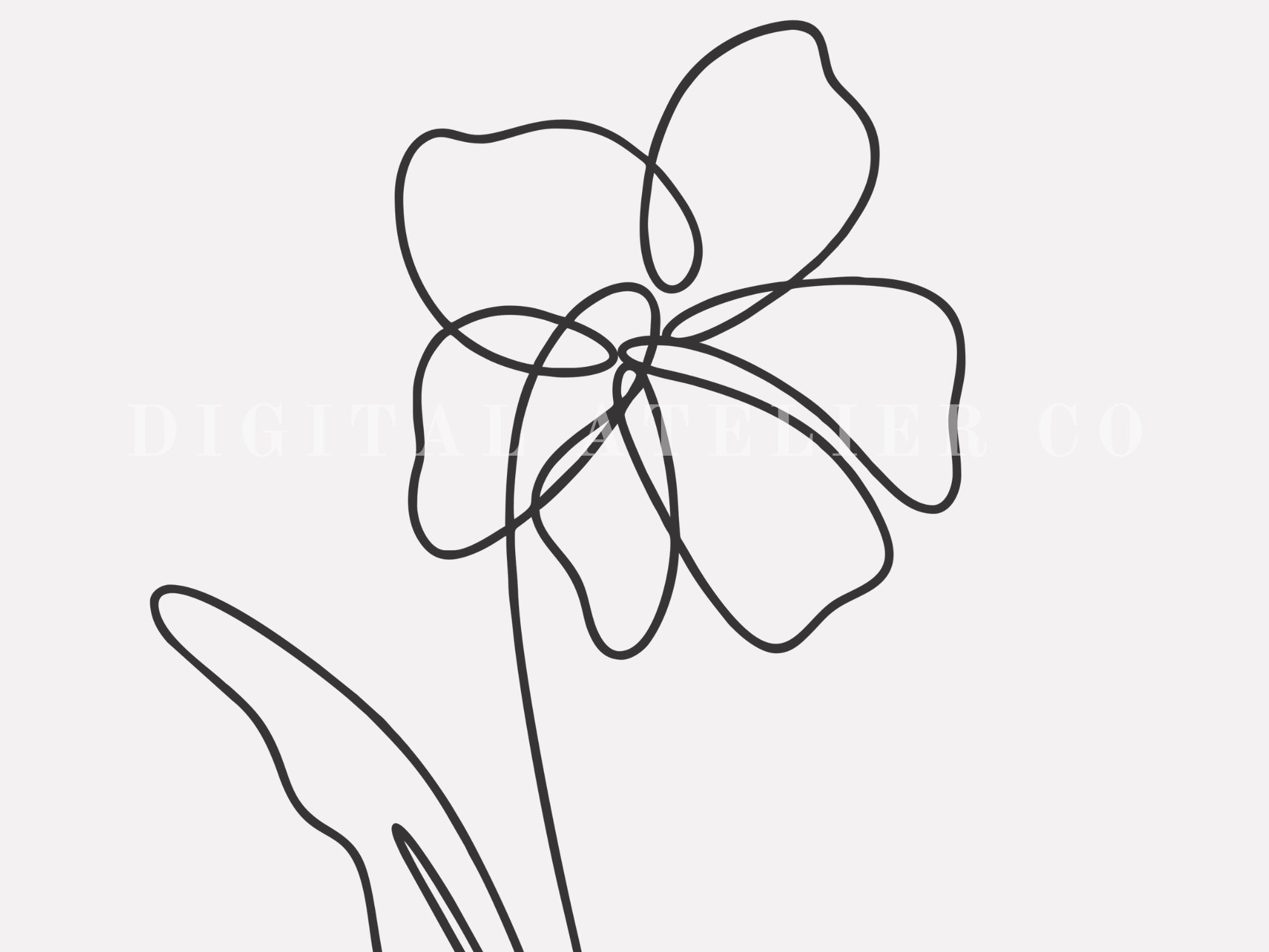 Birth Flower February Violet Line Drawing Flower Home Line Art ...