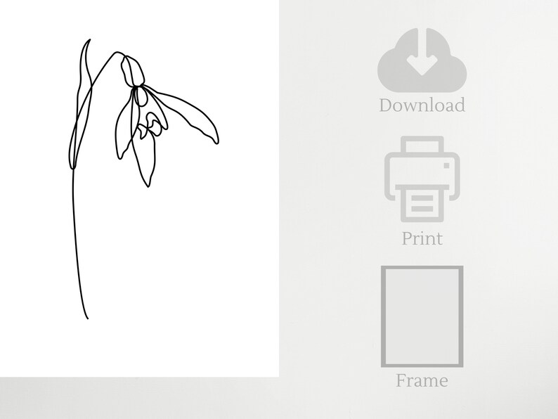 January Birth Flower Snowdrop Line Art Drawing Home Printable - Etsy