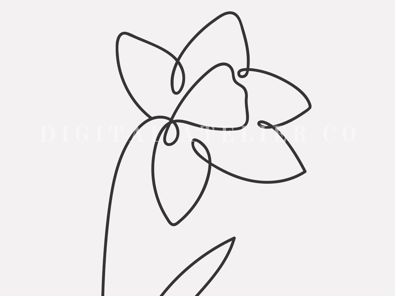 Birth Flower March Daffodil Line Drawing Home Decor Printable Flower ...