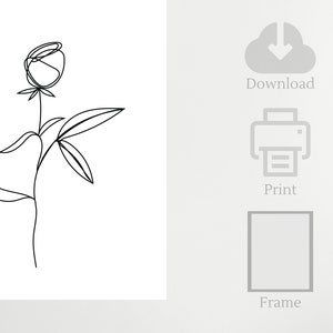 Birth Flower Rose June Line Drawing Home Printable Flower Line Art ...