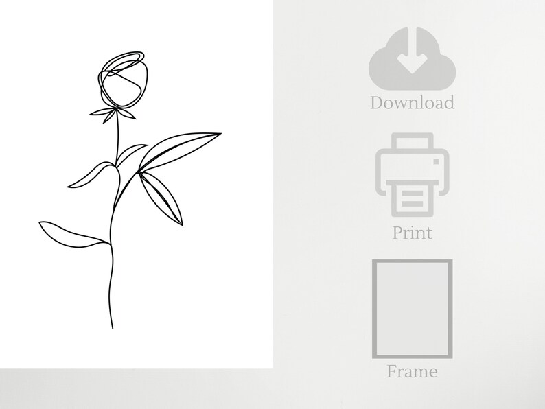 Birth Flower Rose June Line Drawing Home Printable Flower Line Art ...