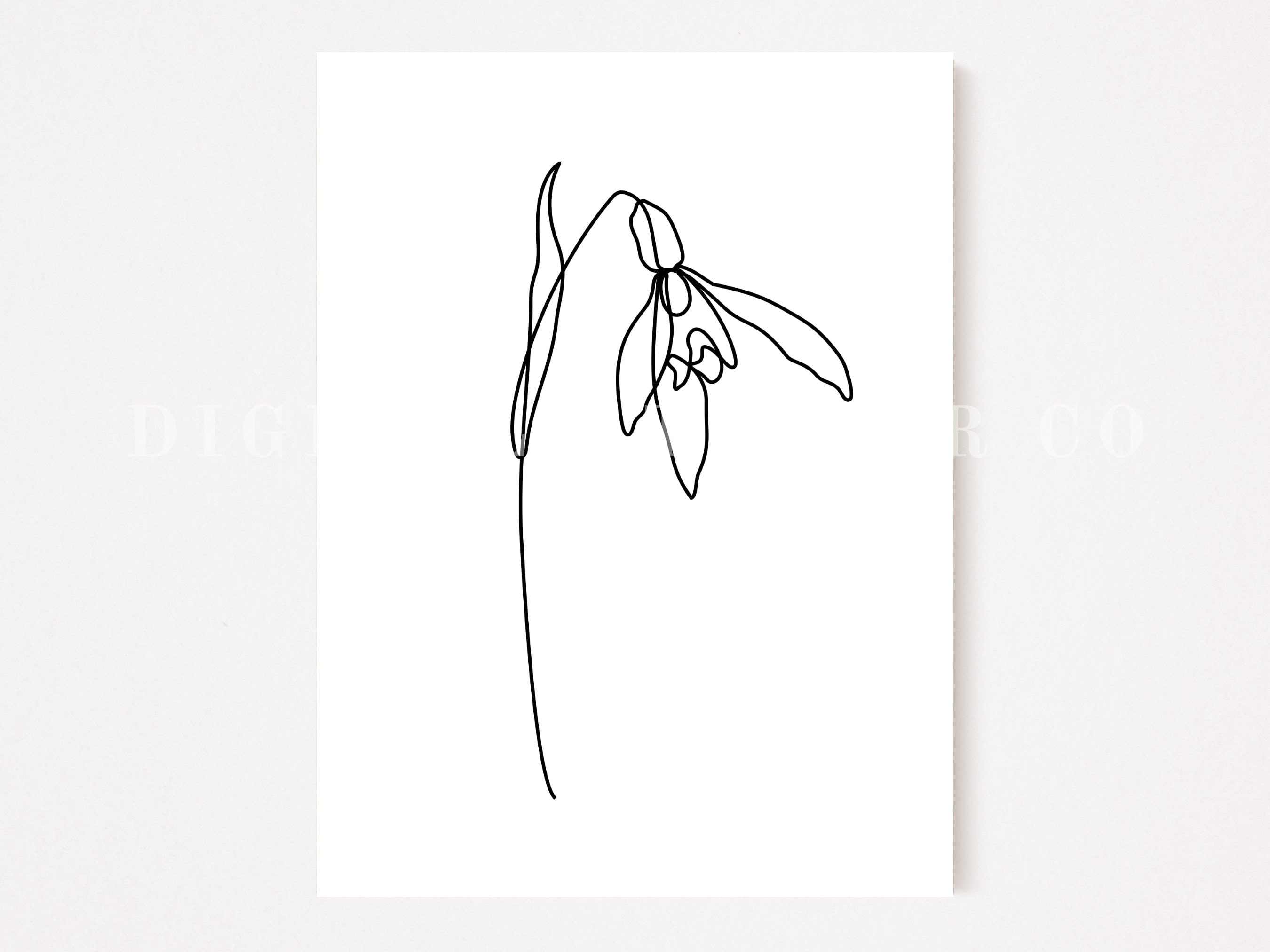 January Birth Flower Snowdrop Line Art Drawing Home Printable - Etsy