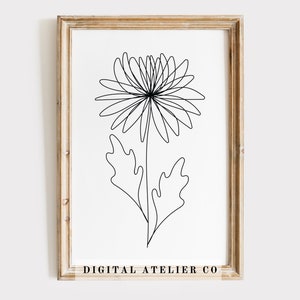Birth Flower November Chrysanthemum Line Drawing Home Printable Flower ...