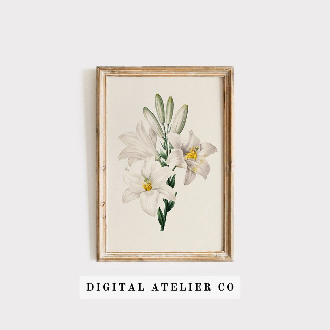 Vintage Lily Botanical Print: Antique Floral Wall Art (digital Download ...
