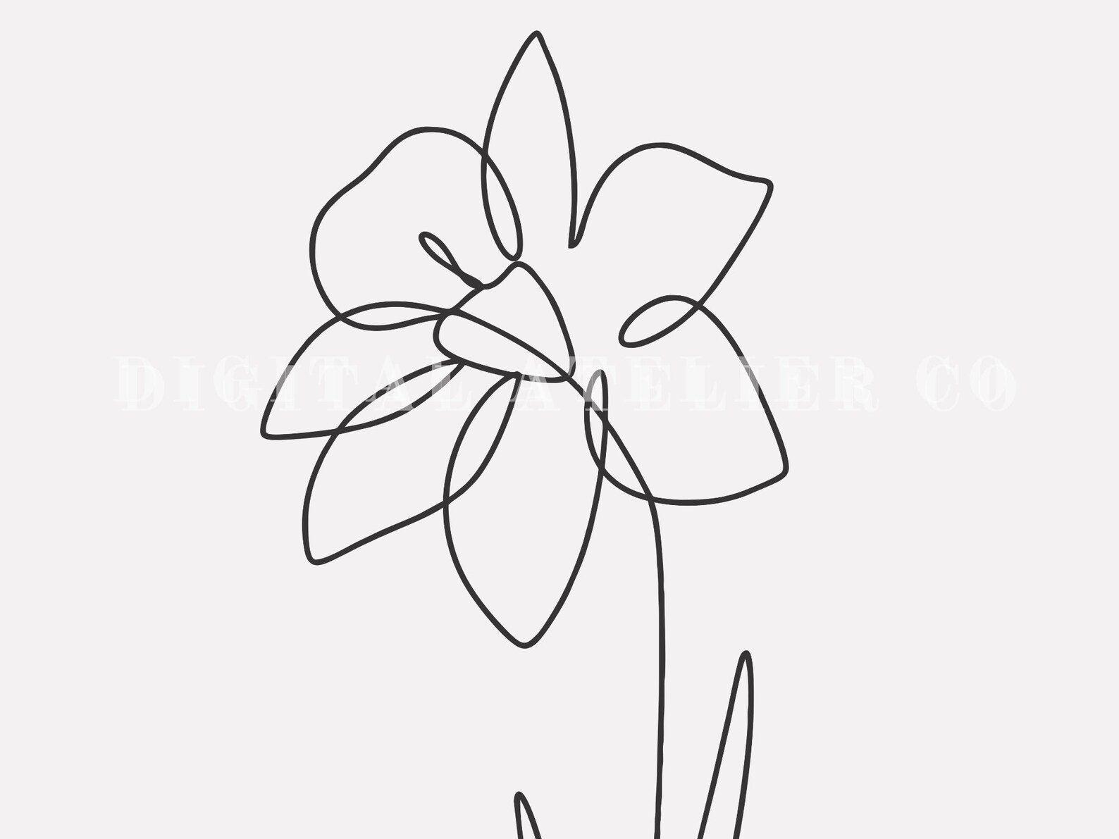 Birth Flower March Daffodil Line Drawing Home Printable Flower Line Art ...