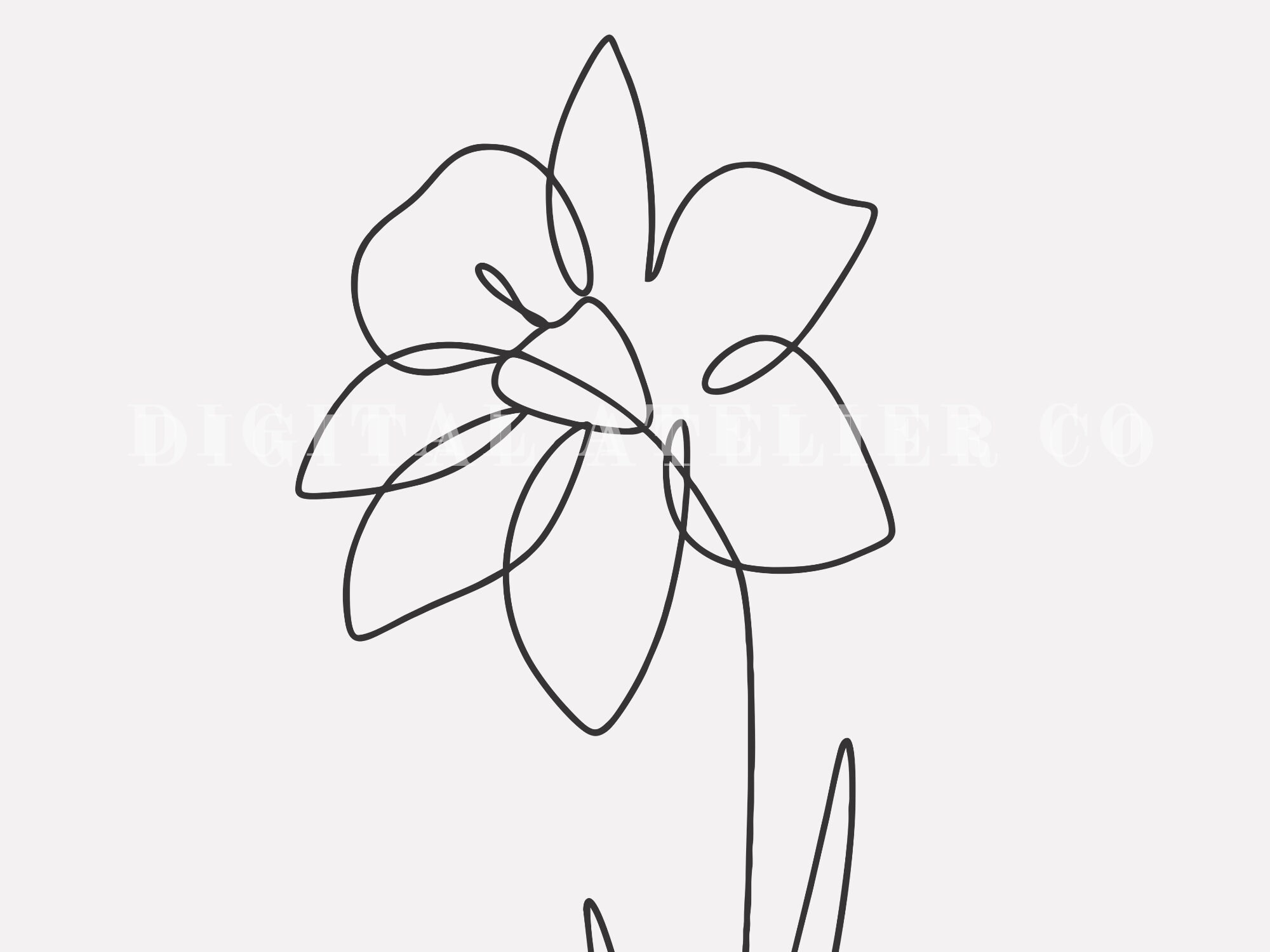 Birth Flower March Daffodil Line Drawing Home Printable Flower - Etsy