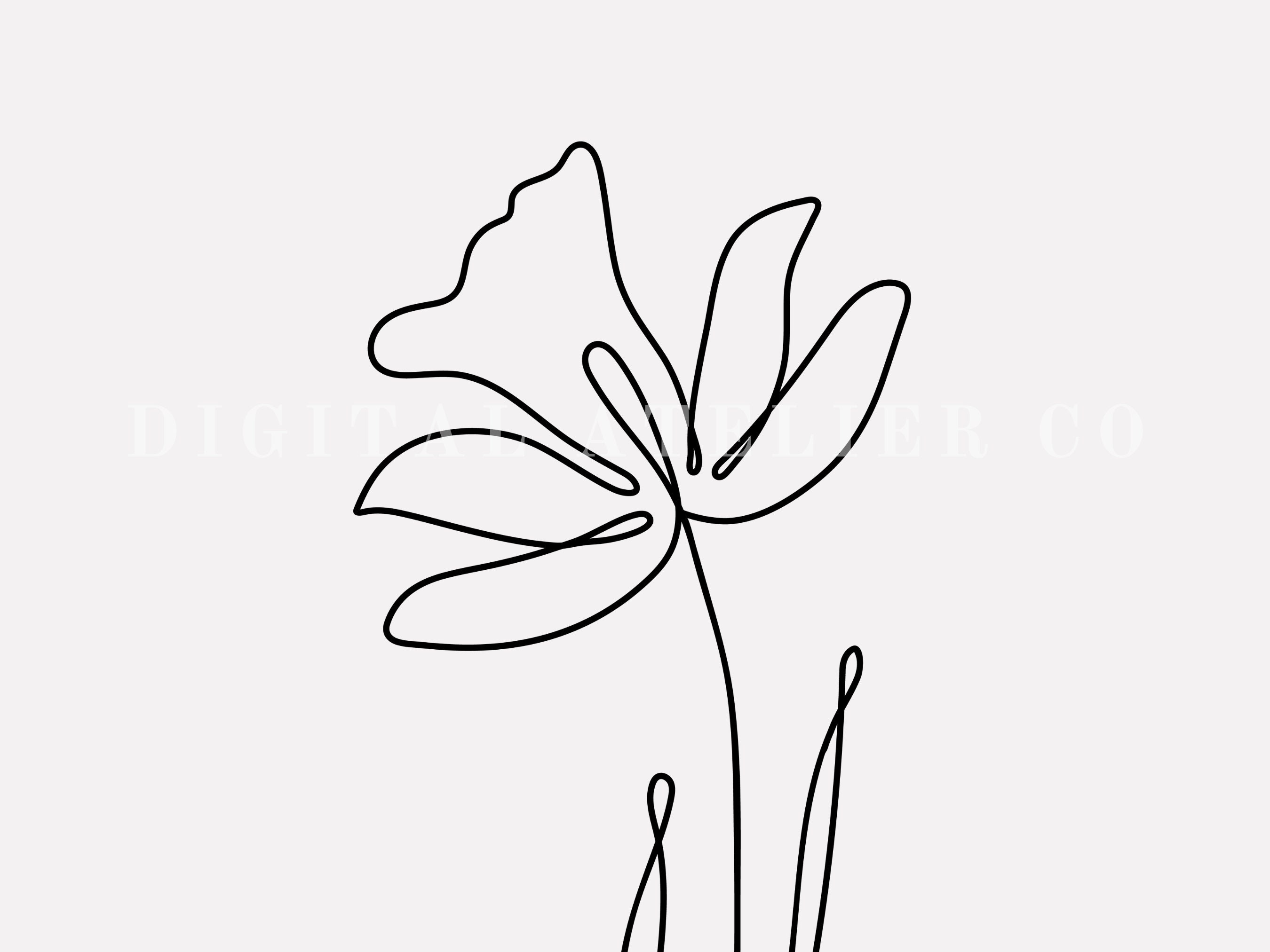 Birth Flower March Daffodil Line Drawing Home Printable Flower - Etsy