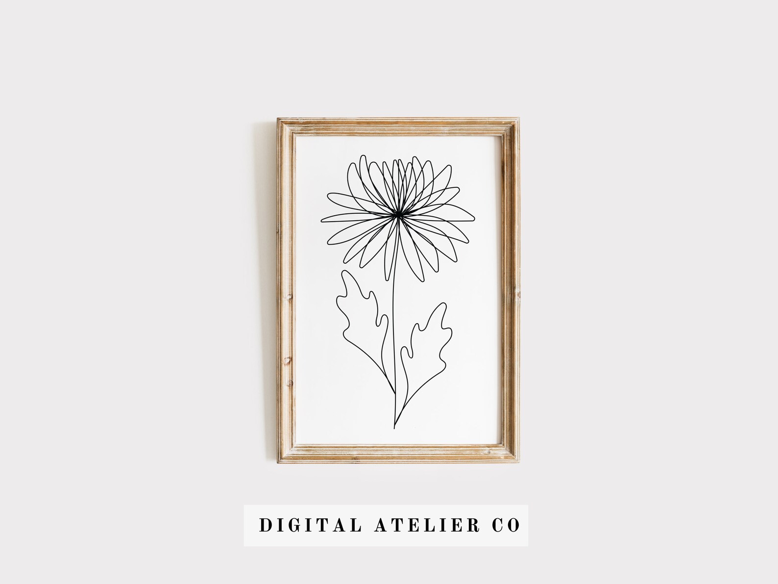 Birth Flower November Chrysanthemum Line Drawing Flowers - Etsy