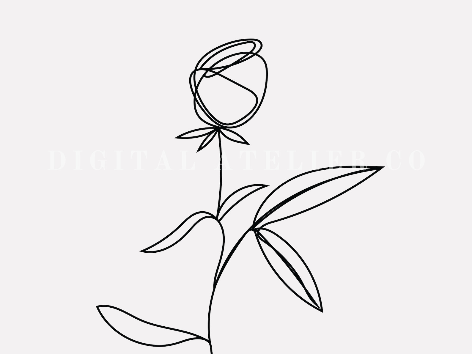 Birth Flower Rose June Line Drawing Home Printable Flower Line Art ...