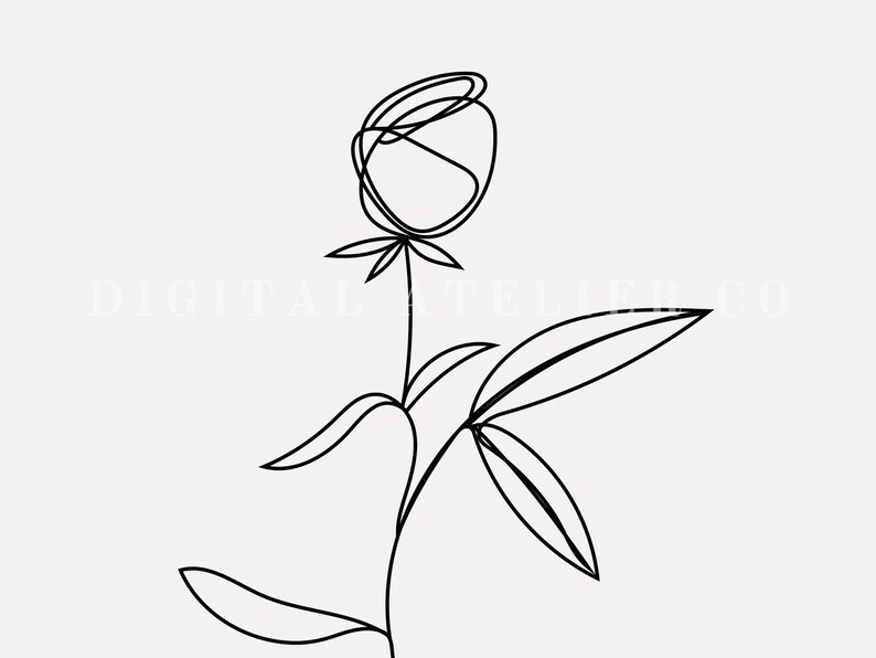 Birth Flower Rose June Line Drawing Home Printable Flower Line Art ...