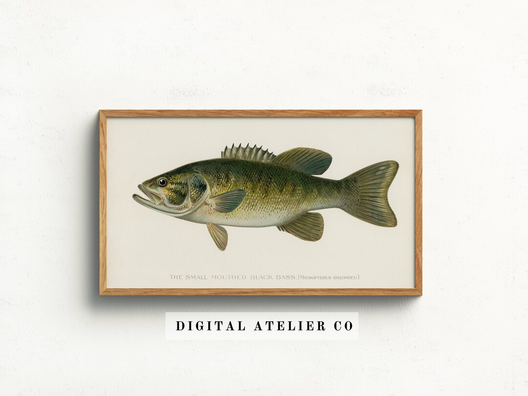 Large Mouth Bass Samsung Frame TV Art, Log Cabin Decor, Vintage Fish ...