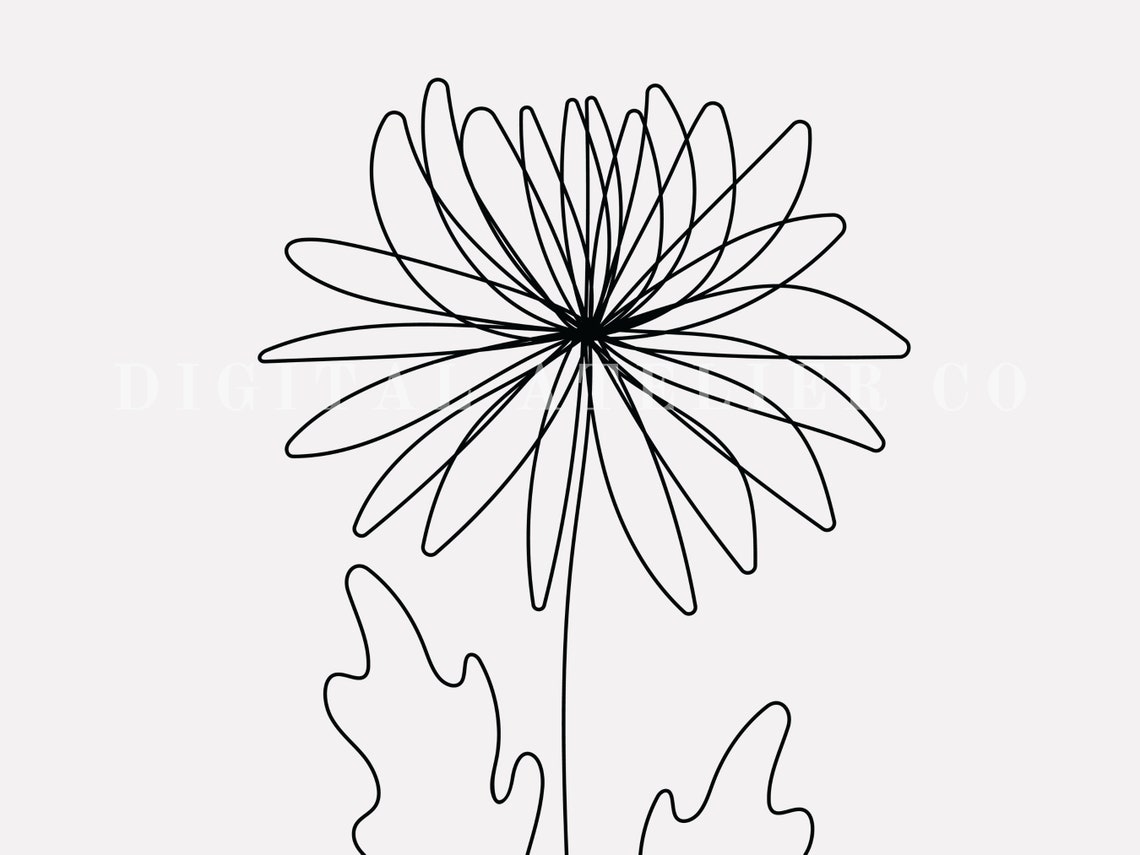 Birth Flower November Chrysanthemum Line Drawing Flowers - Etsy