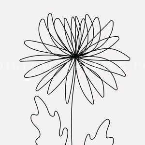 Birth Flower November Chrysanthemum Line Drawing Home Printable Flower ...