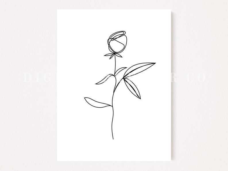 Birth Flower Rose June Line Drawing Home Printable Flower Line Art ...