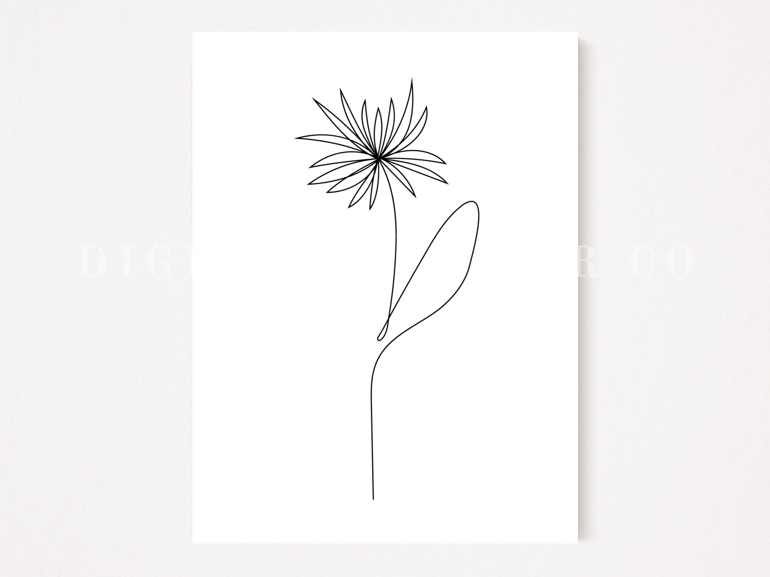 Birth Flower September Aster Line Drawing Home Decor Printable Flower ...
