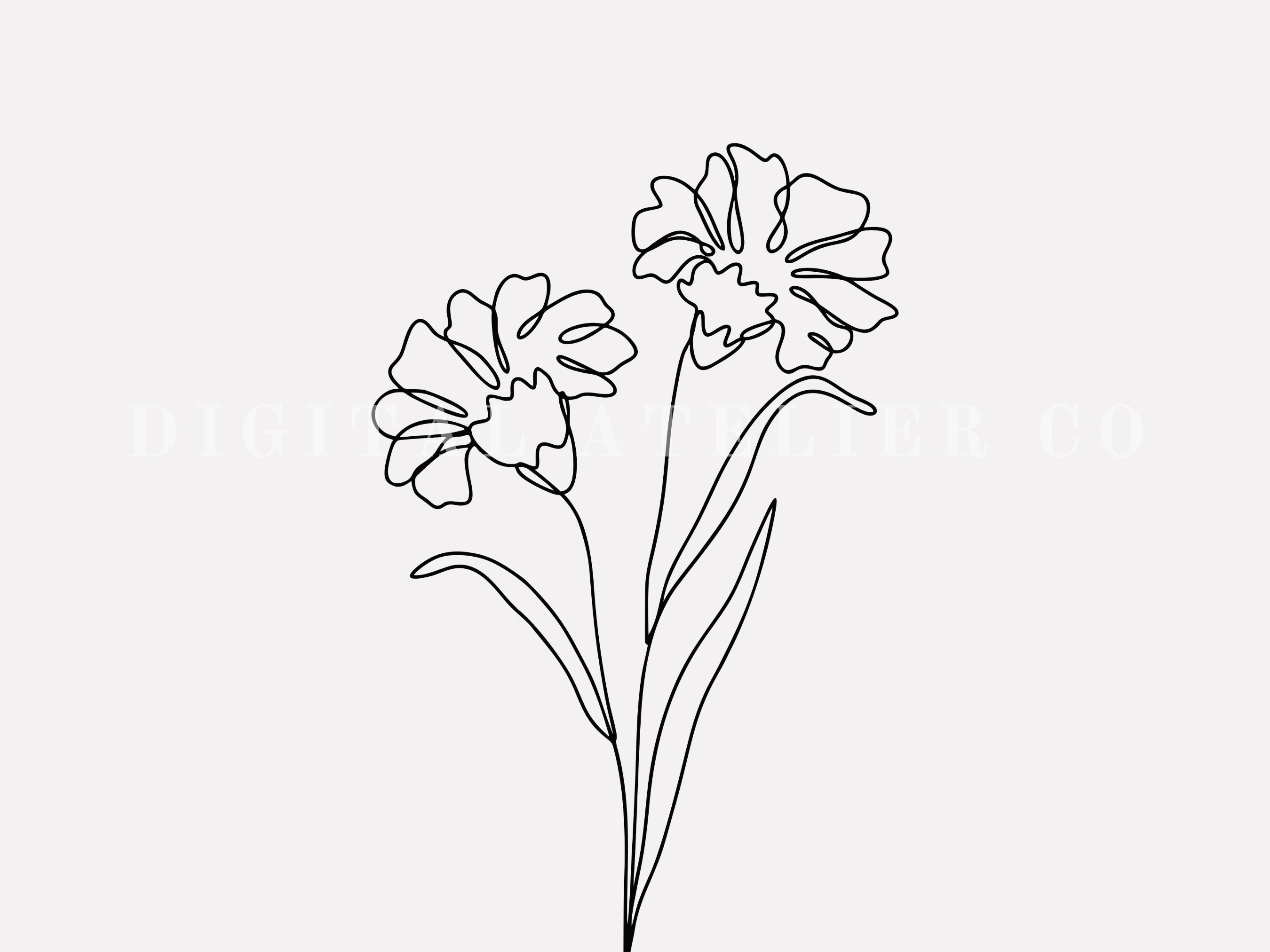 January Birth Flower Carnation Line Drawing Home Decor Flower Line Art ...