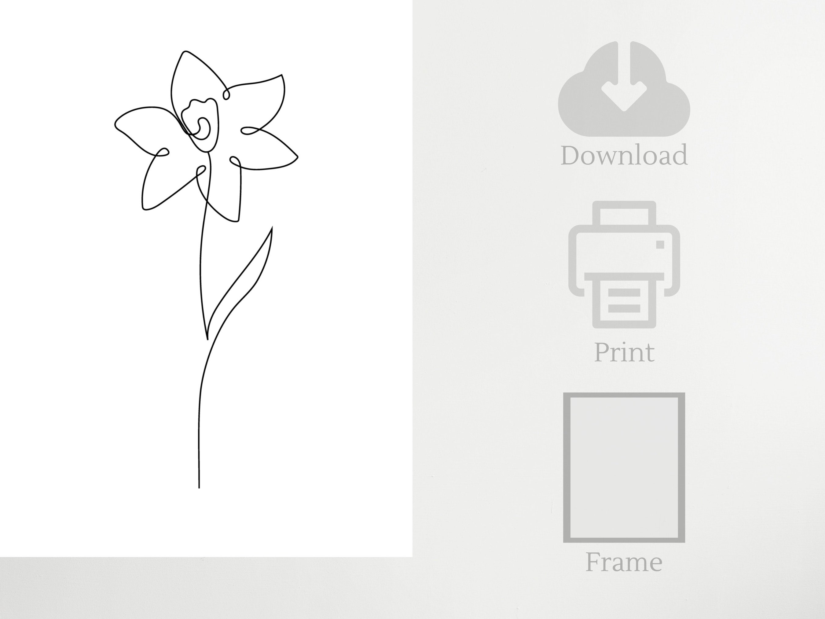 Birth Flower December Narcissus One Line Drawing Home Printable Flower ...