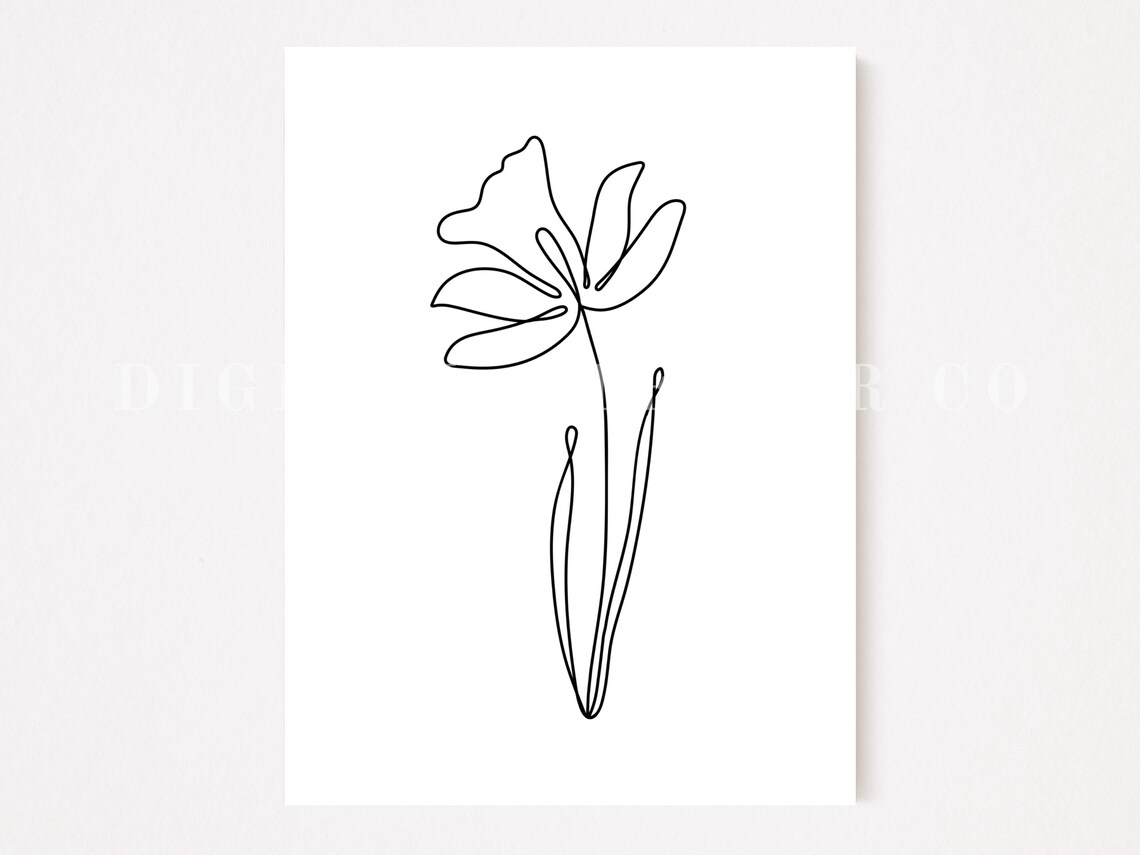 Birth Flower March Daffodil Line Drawing Home Printable Flower - Etsy