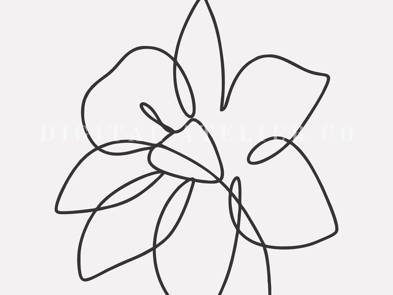 Birth Flower March Daffodil Line Drawing Home Printable Flower Line Art ...