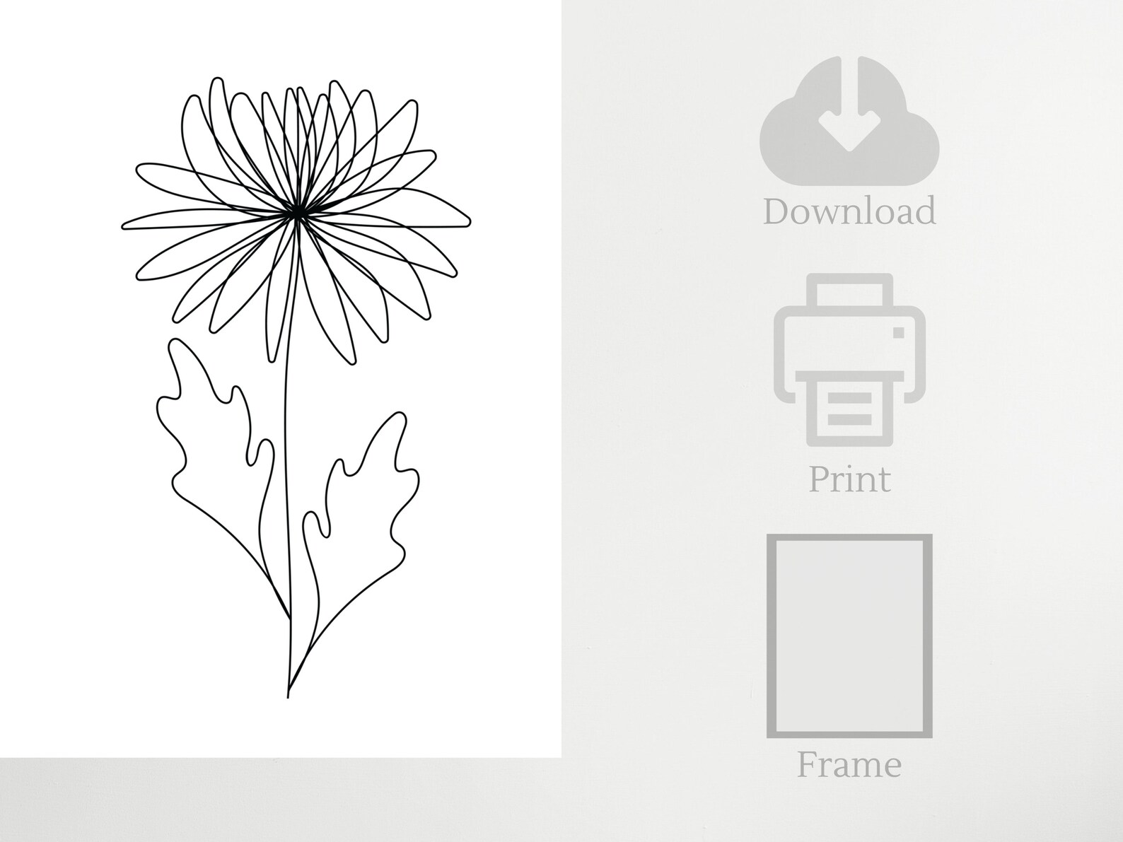 Birth Flower November Chrysanthemum Line Drawing Flowers - Etsy