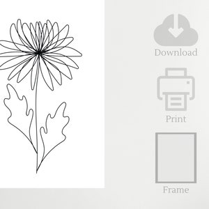 Birth Flower November Chrysanthemum Line Drawing Home Printable Flower ...