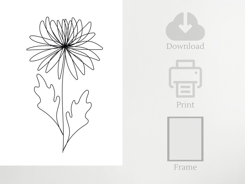 Birth Flower November Chrysanthemum Line Drawing Flowers - Etsy