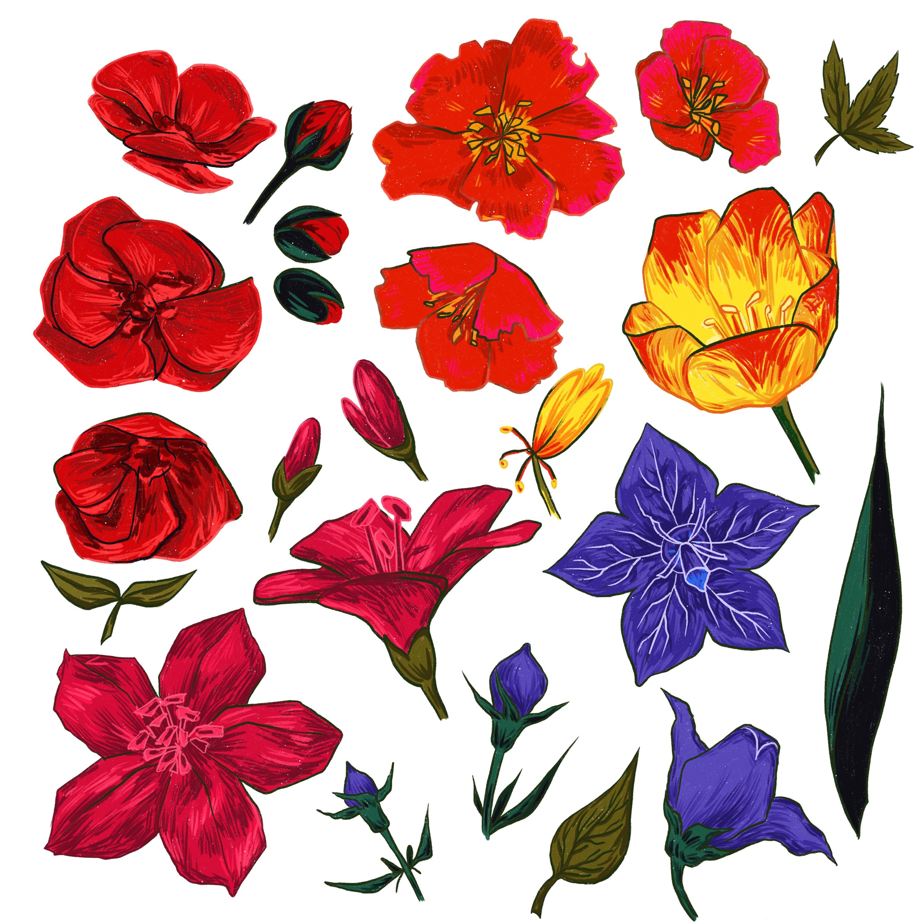 Flower Clip Art, Hand Drawn Flower Clipart, Red Flowers,colourful Clip ...