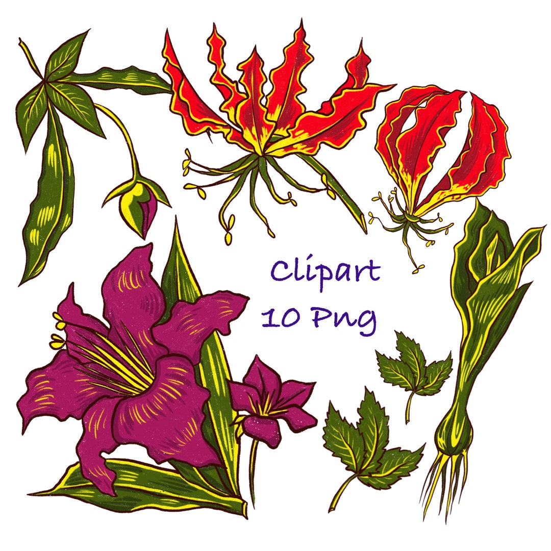 Flower Clip Art, Hand Drawn Flower Clipart, Red Flowers, Colourful ...