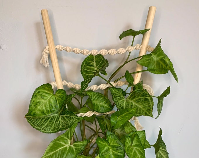 Macrame Plant Trellis, Handmade Natural Trellis for Plants - Etsy