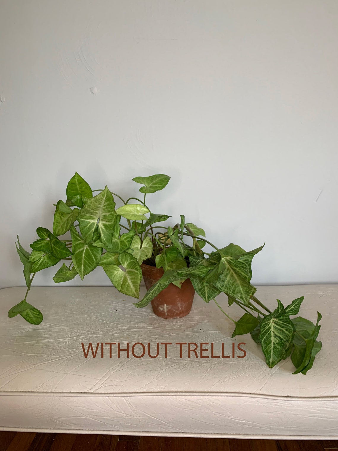 Macrame Plant Trellis Handmade Natural Trellis for Plants | Etsy