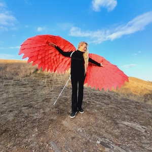 Red Angel Wings, Red Wings Costume, Angel Wings, Cosplay, Halloween ...