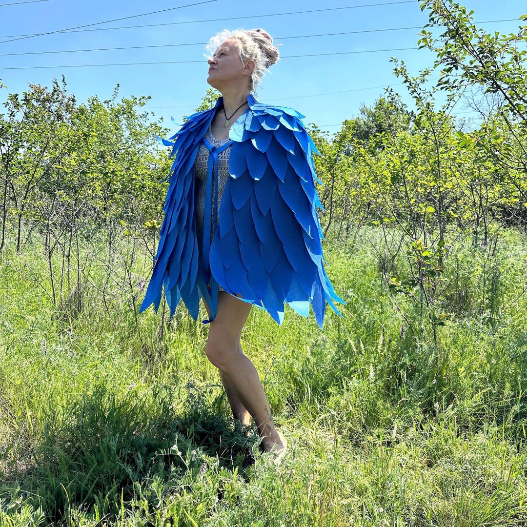 Cloak Raven Cosplay Raven - Etsy