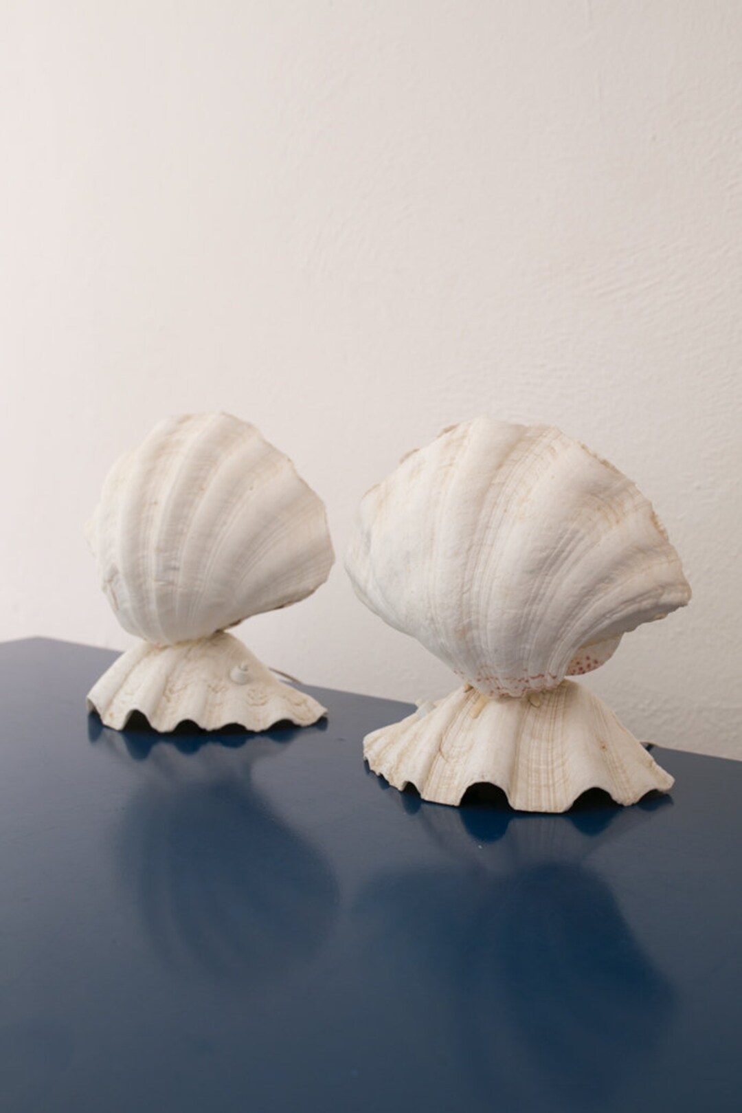 1 of 2 Rare Clam Shell Lamps - Etsy