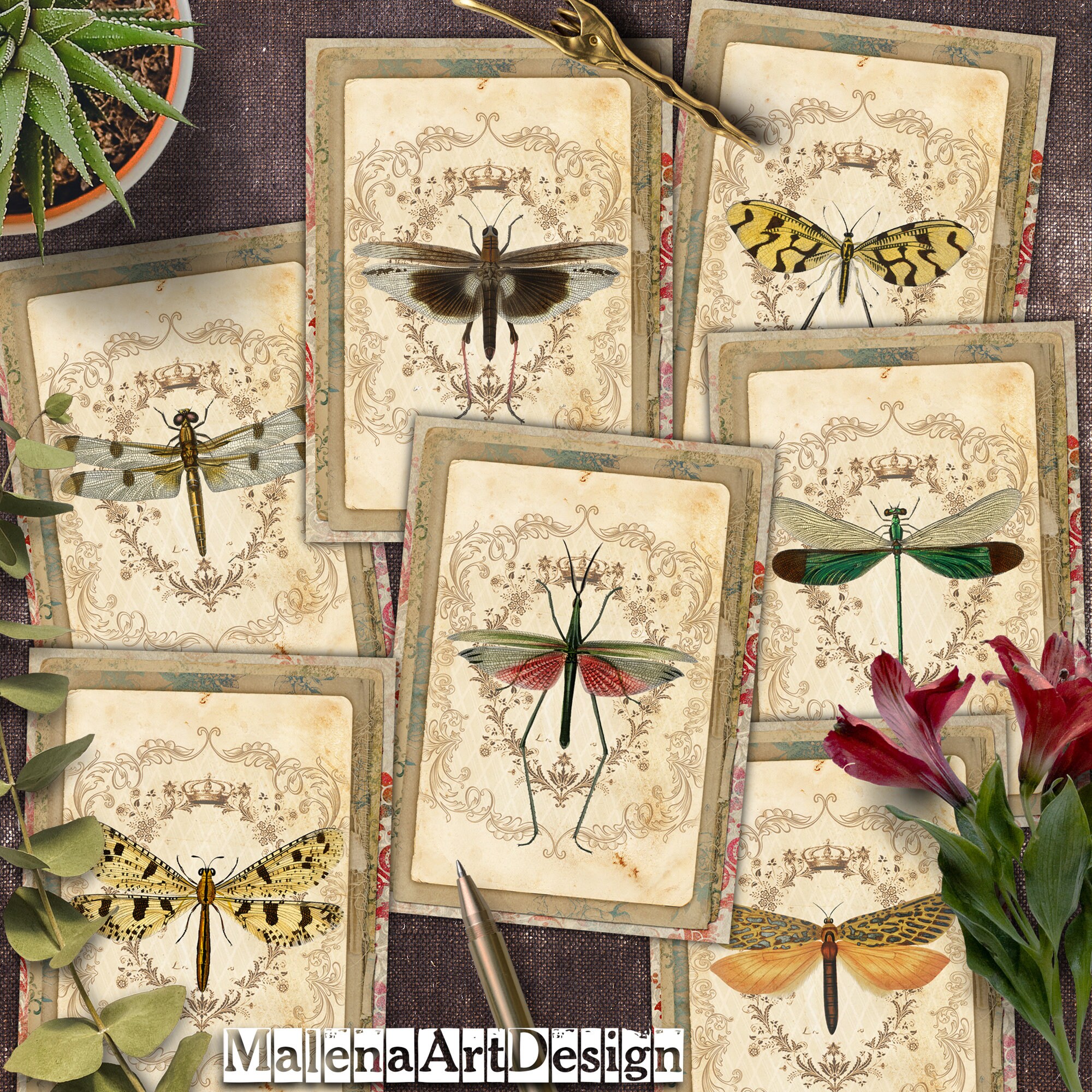 Insects Cards Digital Cards Printables Scrapbook Junk - Etsy