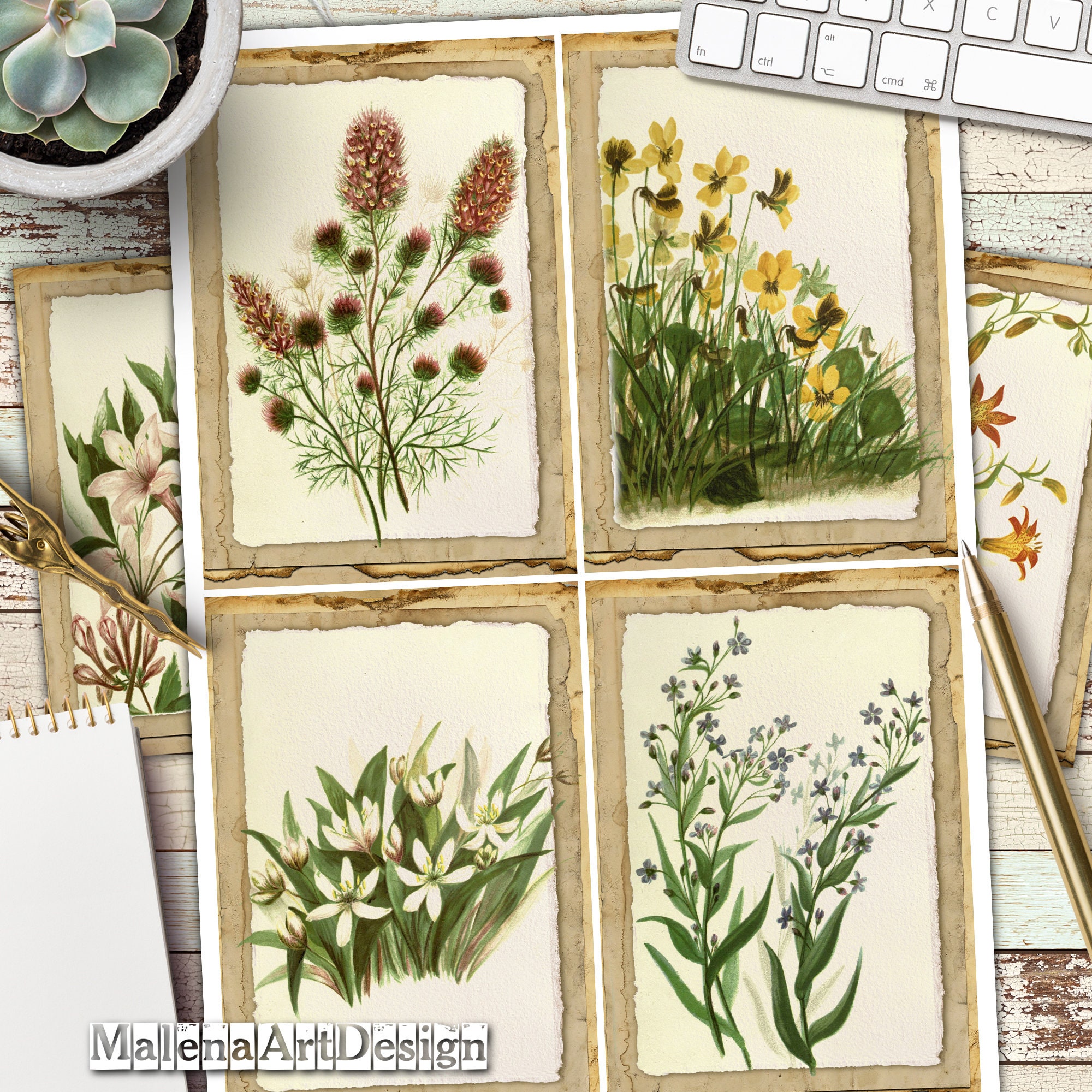 Botanical Flowers Digital Cards Printables Vintage Cards - Etsy