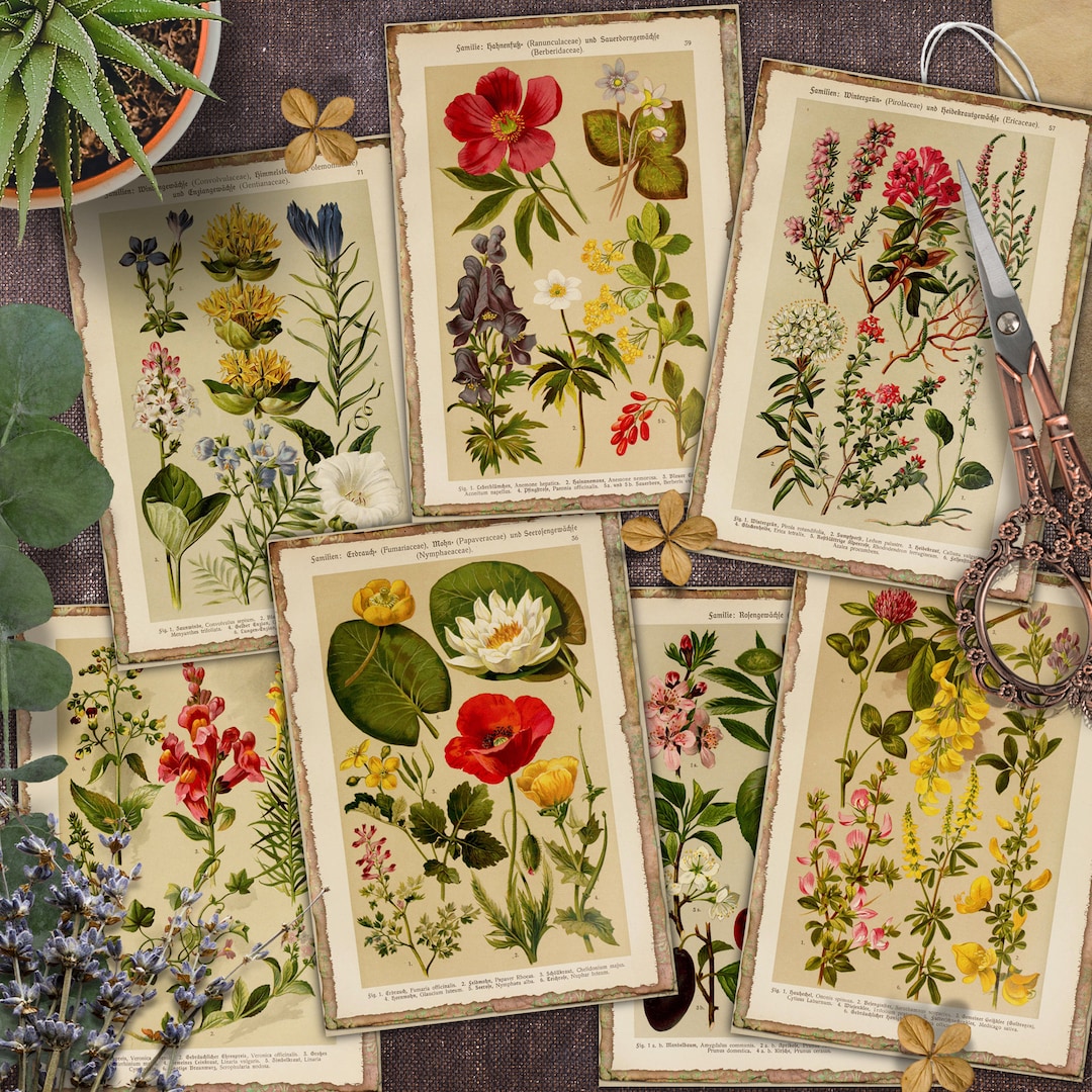 Botanical, Digital Cards Printables, Vintage, CARD, Papers for Crafts ...