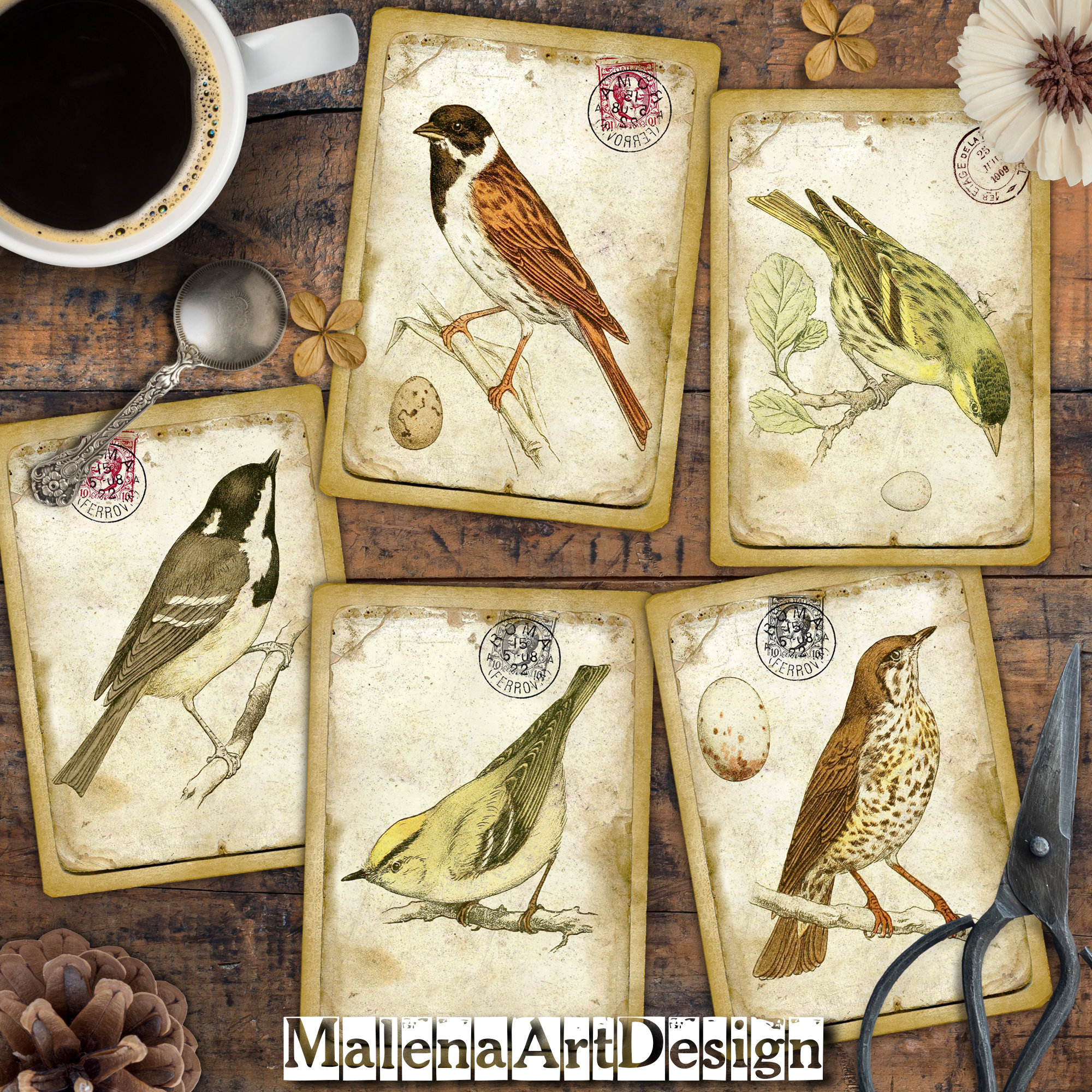 Birds Cards Tags ATC Vintage Download Junk Journa - Etsy