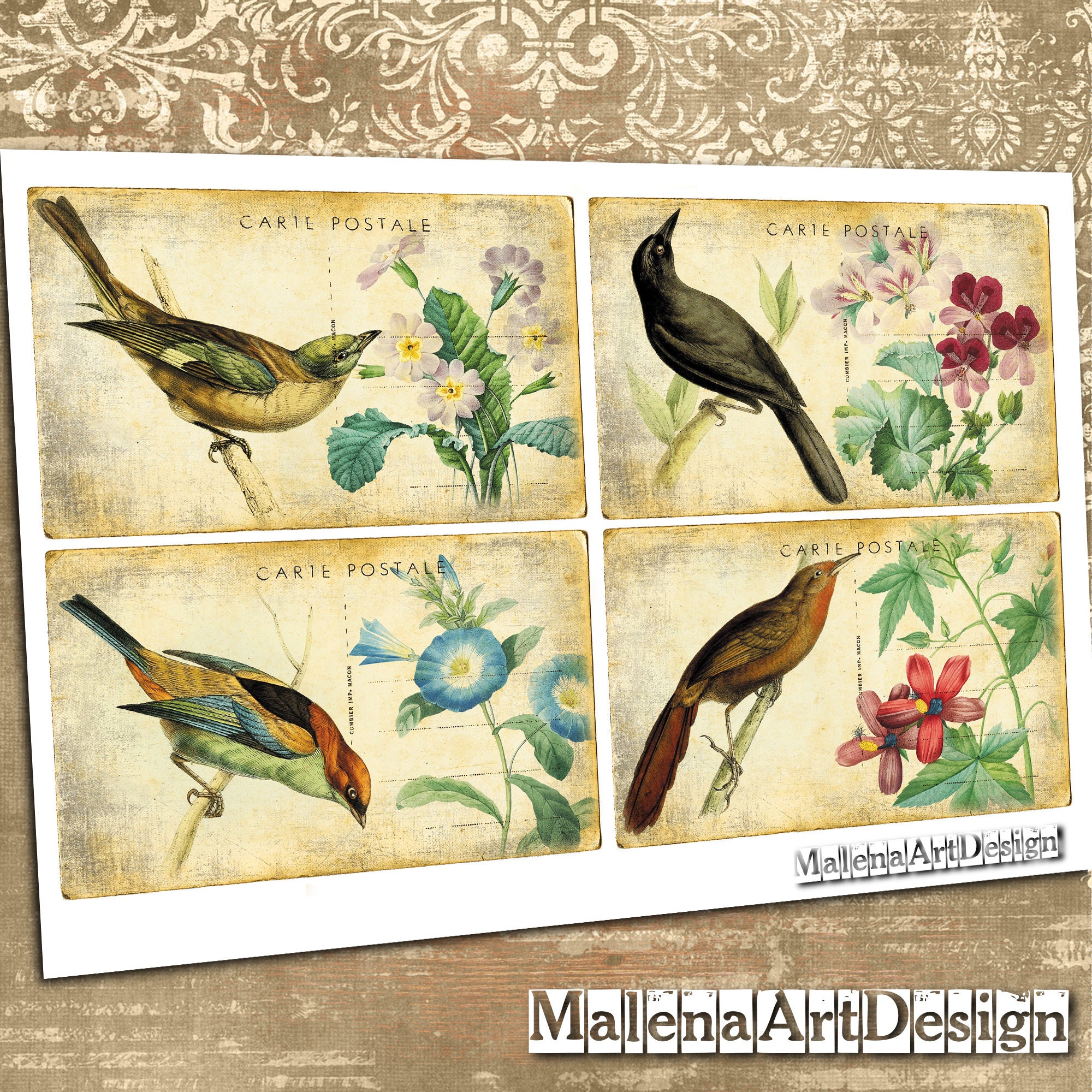 Postcards Digital Cards Printables Birds and Flowers - Etsy