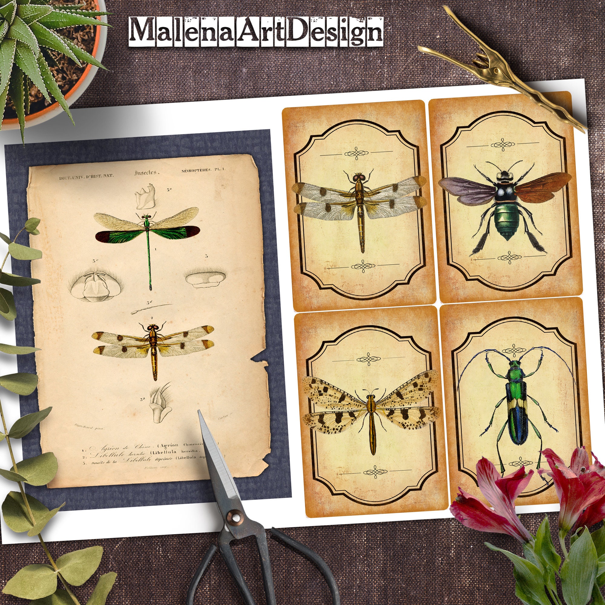 Insects Cards Papers Digital Cards Printables Scrapbook - Etsy