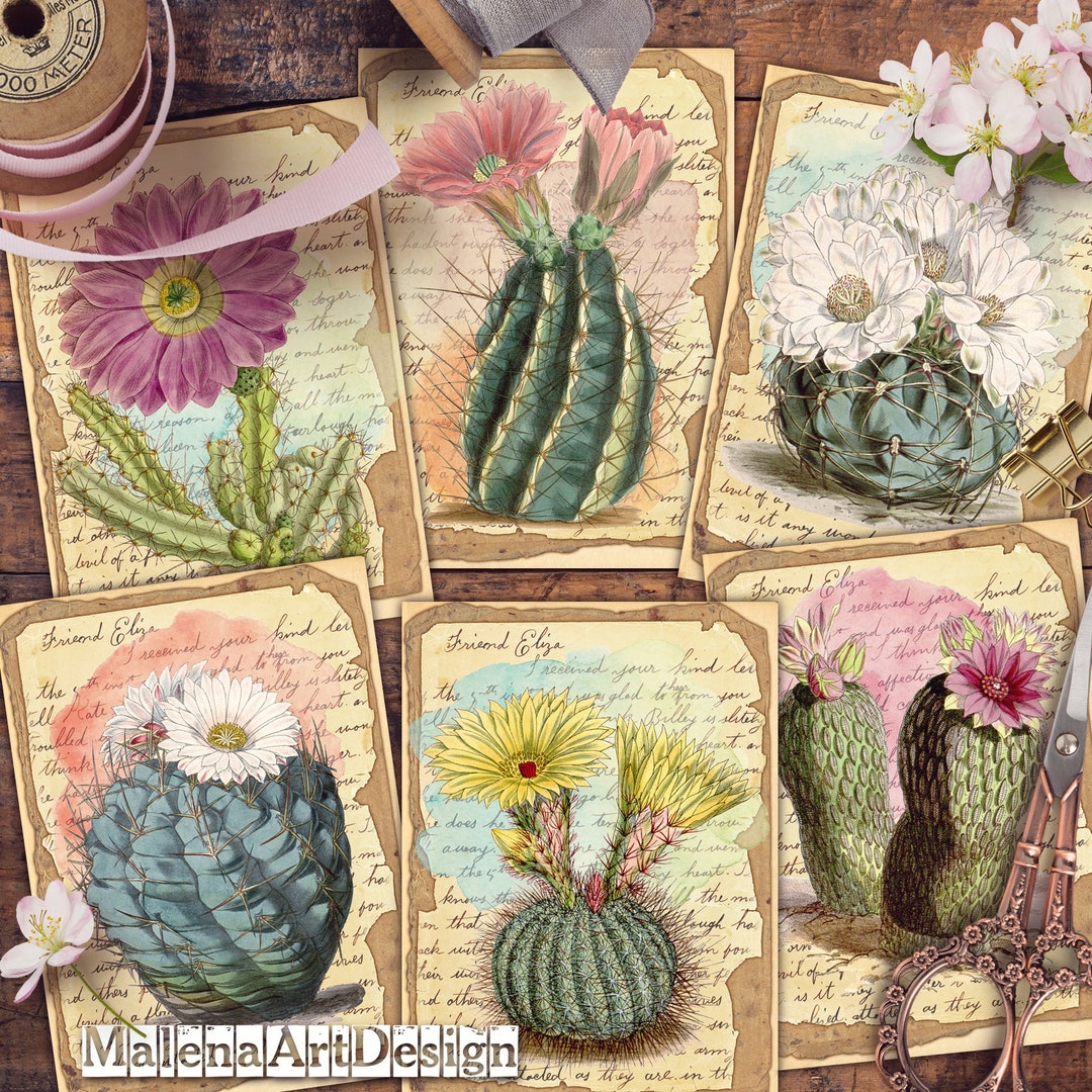 Botanical, Digital Cards Printables, Vintage, CARD, Papers for Crafts ...