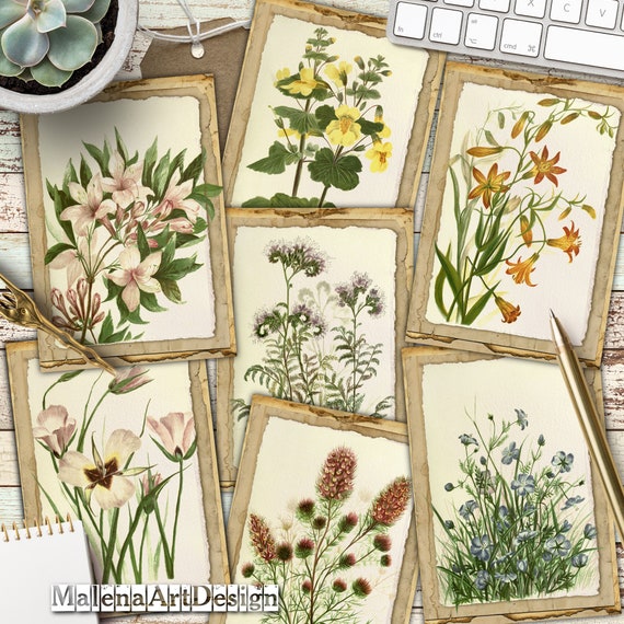 Botanical Flowers Digital Cards Printables Vintage Cards | Etsy