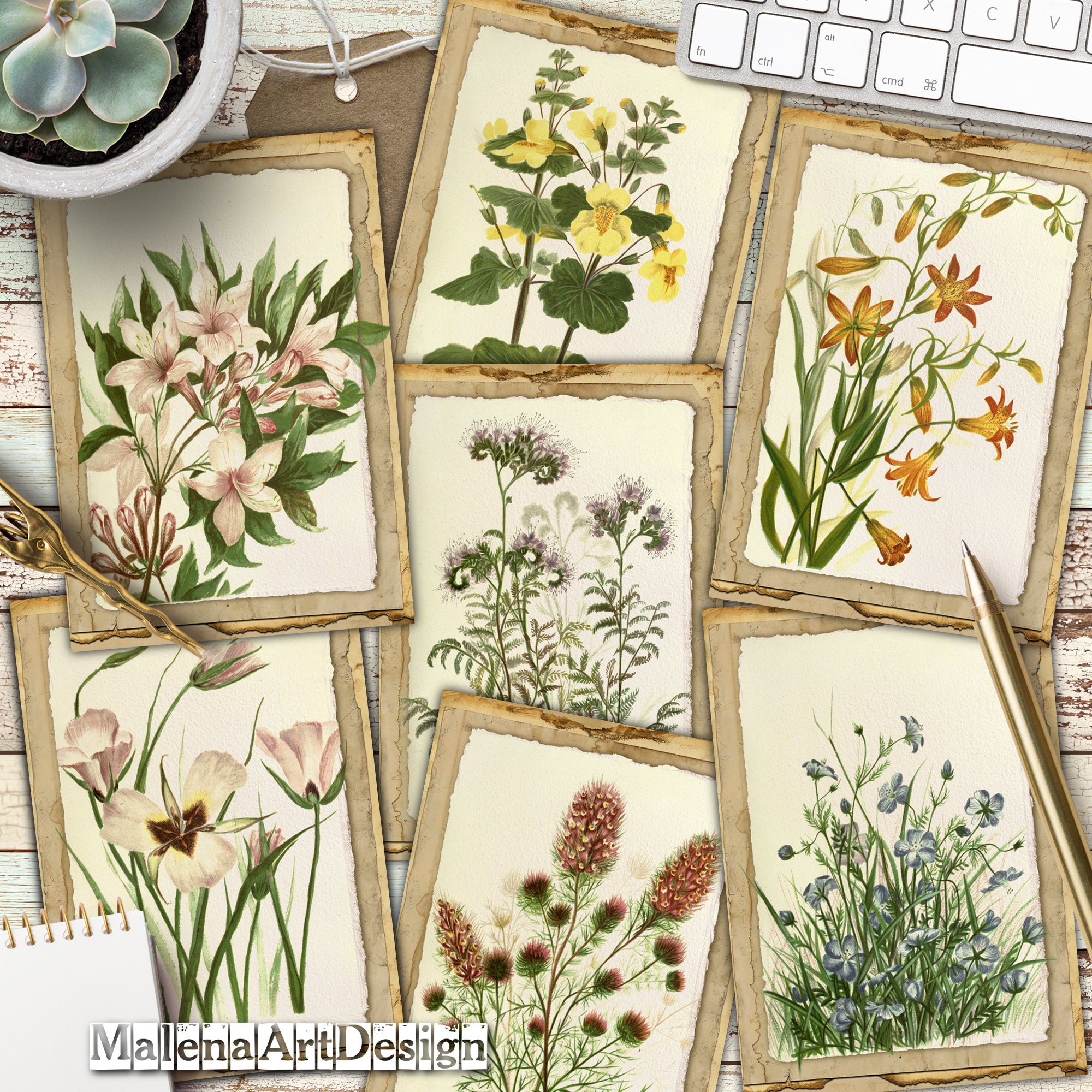 Botanical Flowers Digital Cards Printables Vintage Cards - Etsy