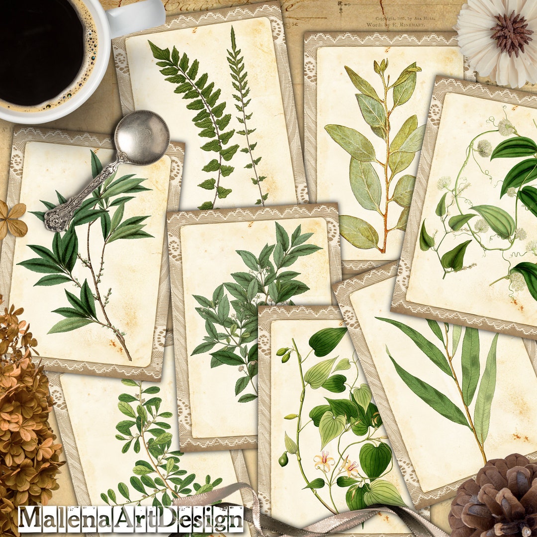 Botanical Digital Cards Printables Vintage CARD Papers for - Etsy