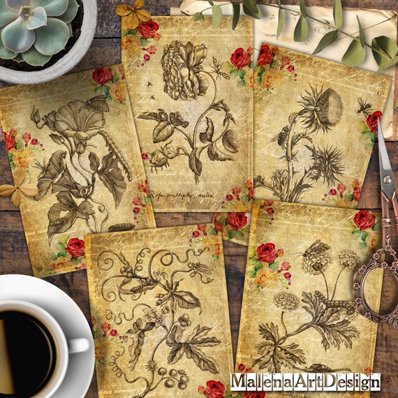 Botanical CARDS Digital Cards Printables Vintage Papers | Etsy