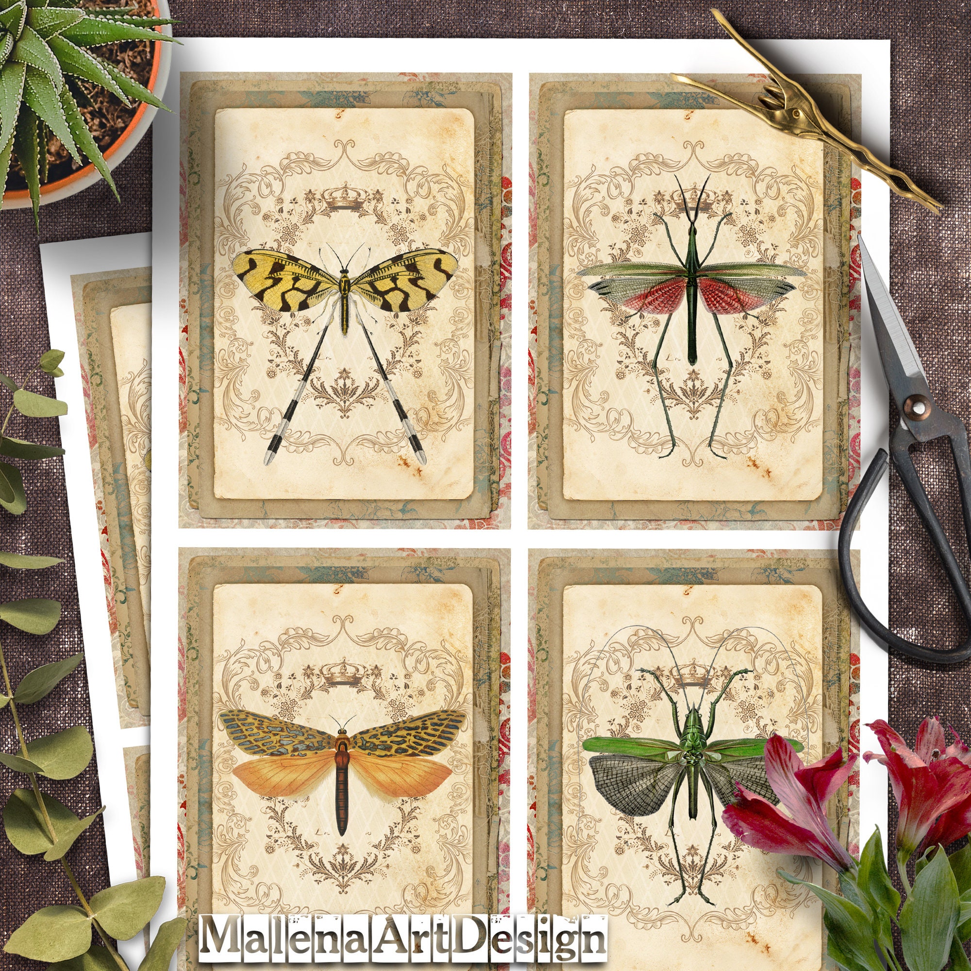 Insects Cards Digital Cards Printables Scrapbook Junk - Etsy