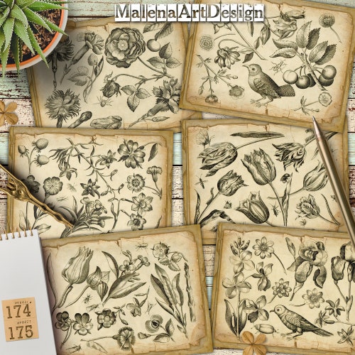 Botanical Digital Cards Printables Vintage CARD Papers for - Etsy