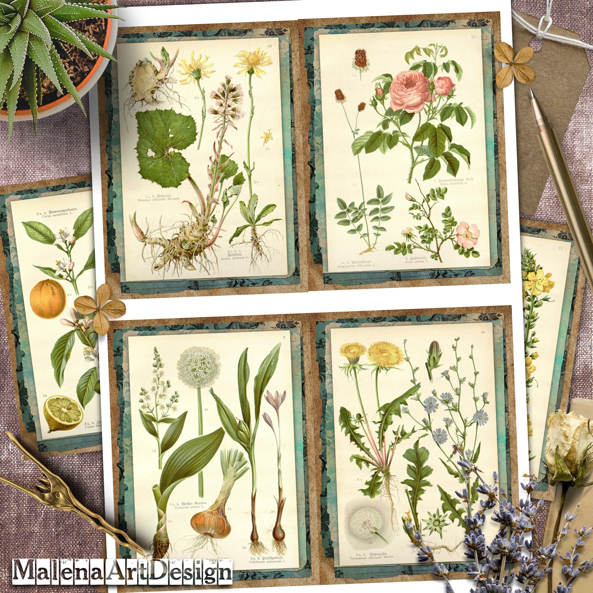 Botanical Digital Cards Printables Vintage CARD Papers for - Etsy
