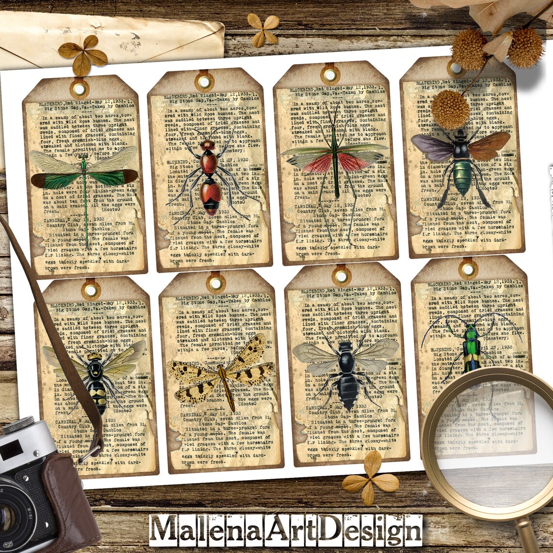 Insects Cards Papers Digital Cards Printables Scrapbook - Etsy