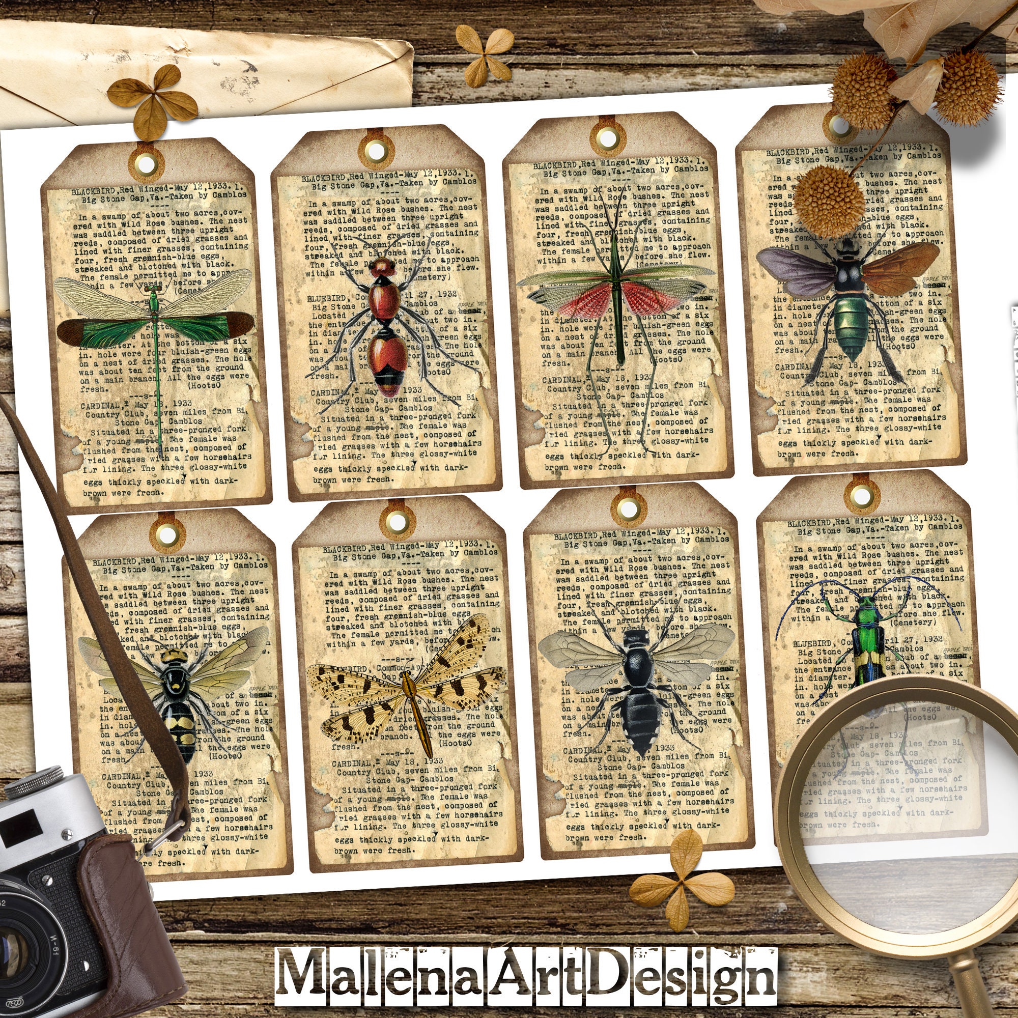 Insects Cards Papers Digital Cards Printables Scrapbook - Etsy