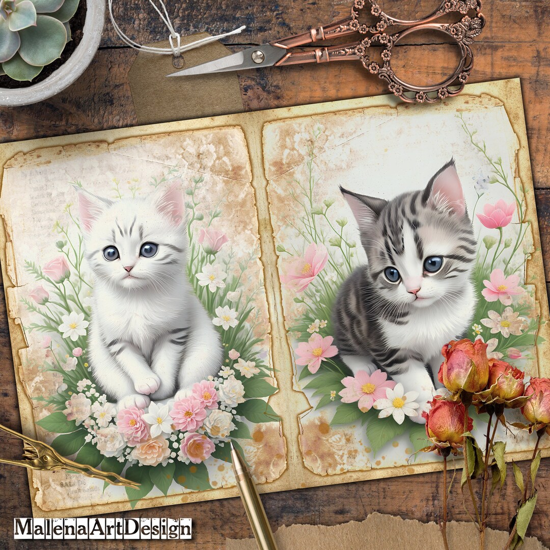 Papers, Baby Cats, Flowers, Vintage, Digital Cards Printables, Papers ...